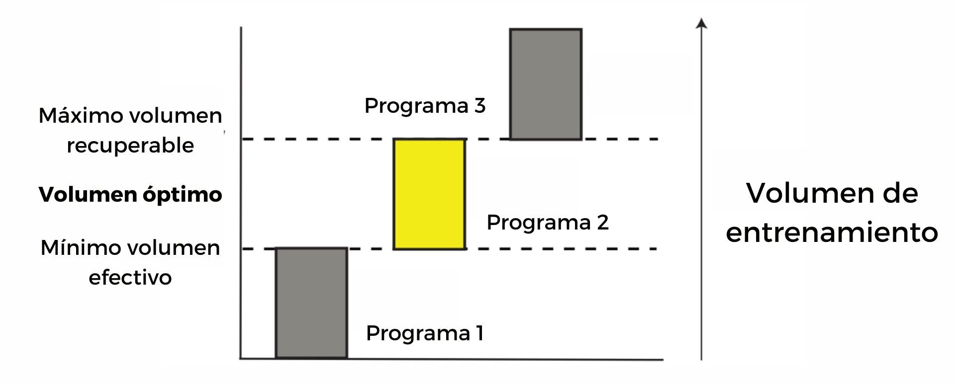 Cómo Adaptar tu Entrenamiento en una Definición - AB Workout