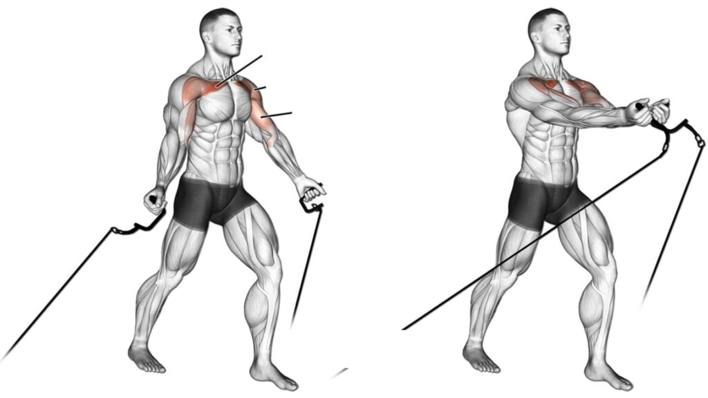 Pectorales Fuertes: Los Mejores Ejercicios para Pecho ⭐