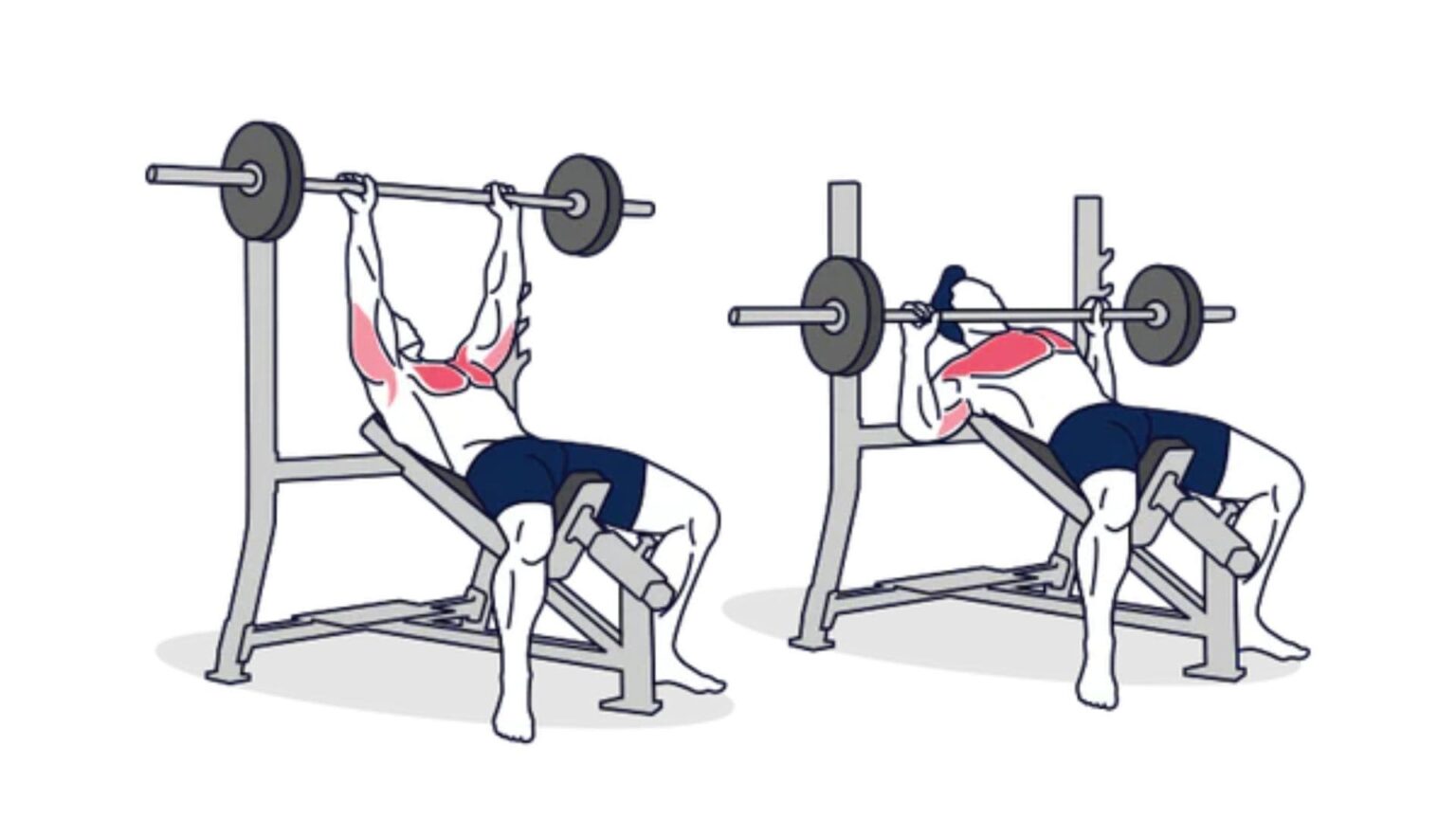 Pectorales Fuertes: Los Mejores Ejercicios para Pecho ⭐