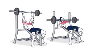 Pectorales Fuertes: Los Mejores Ejercicios para Pecho ⭐